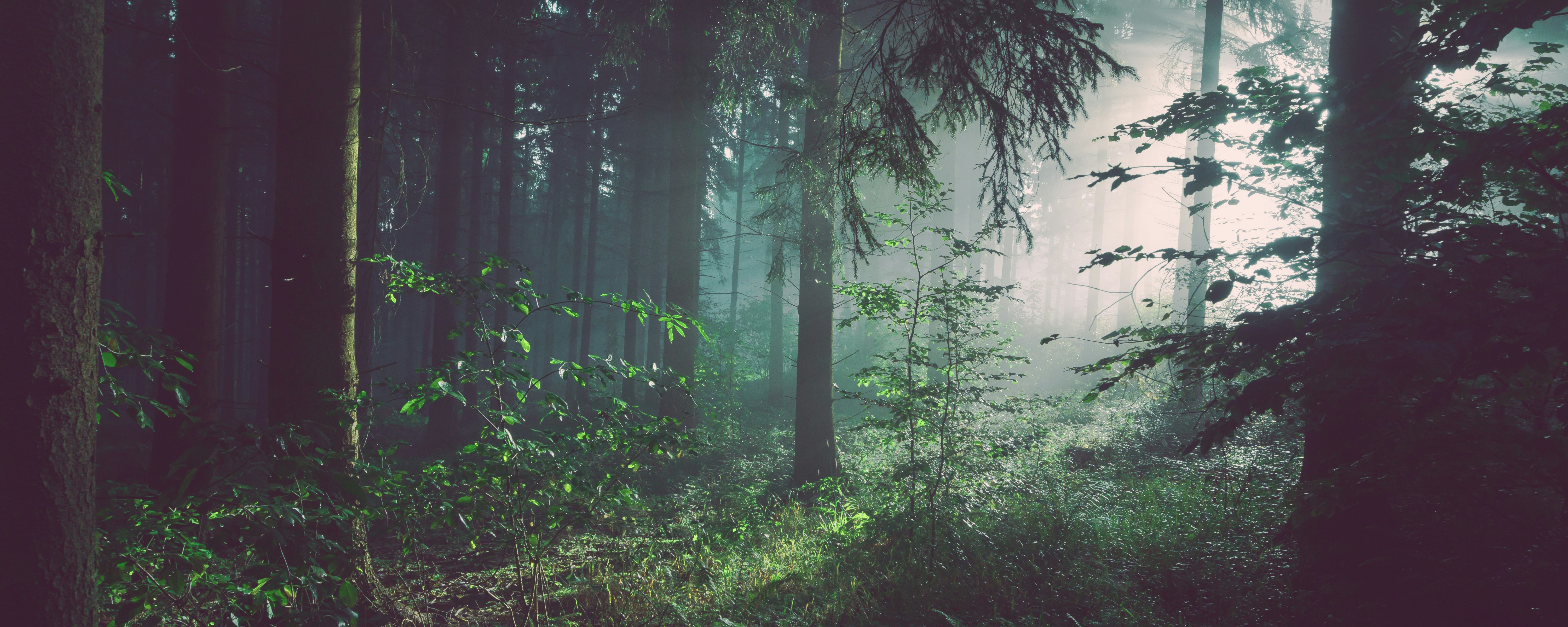 11 Creative Ways to Find Inspiration for Your Poems