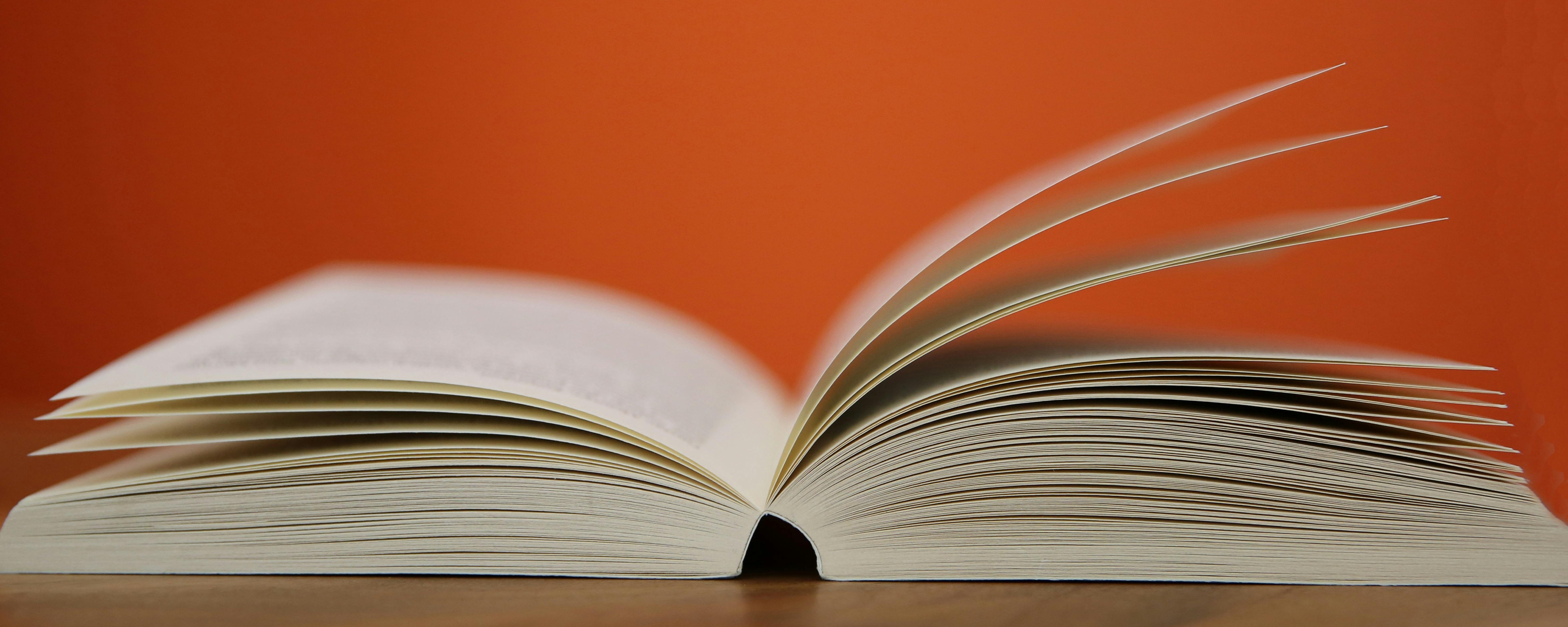 What Is Rights Management in Publishing? A Clear Guide