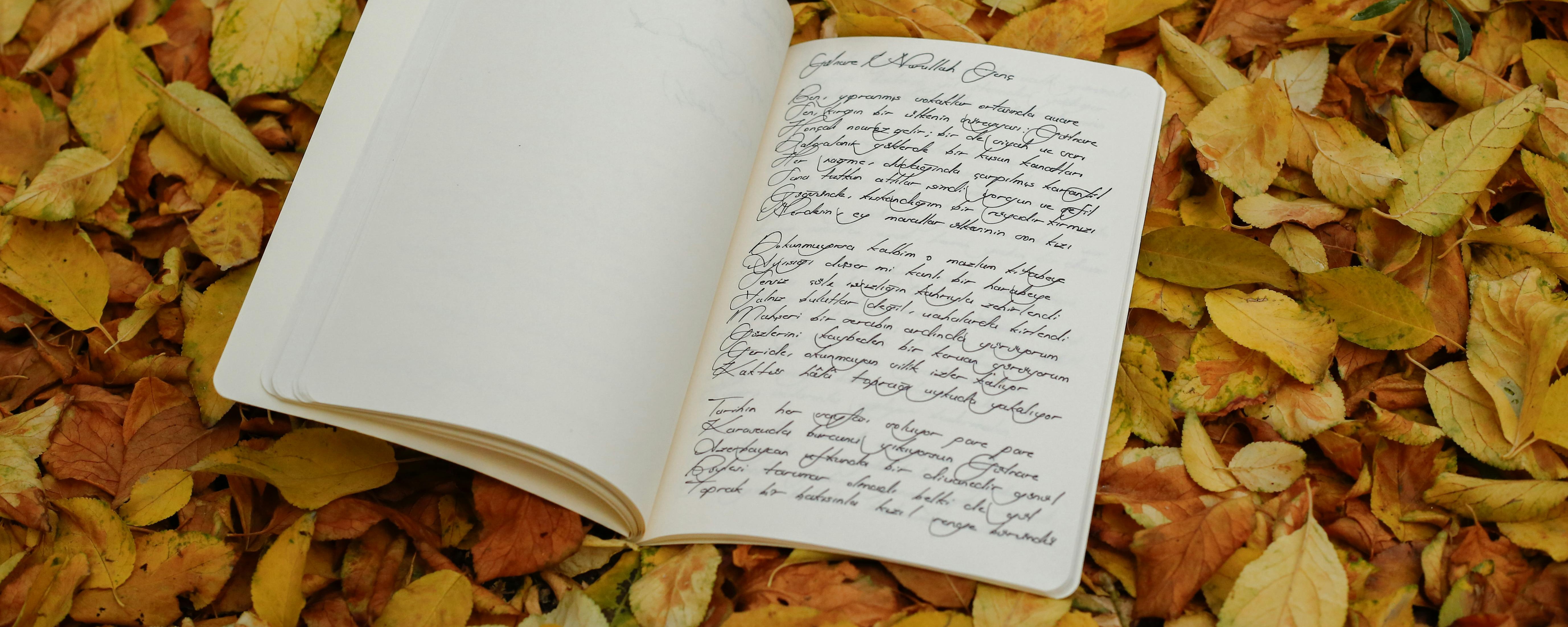 WriteSeen | Poetry Chapbook Submissions: A Beginner's Path to Success