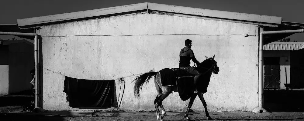 How Many Scenes Are in a Movie? Find Out Fast