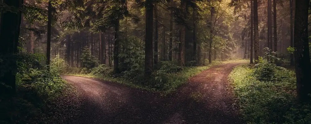 13 Story Plots Examples to Inspire Your Next Narrative