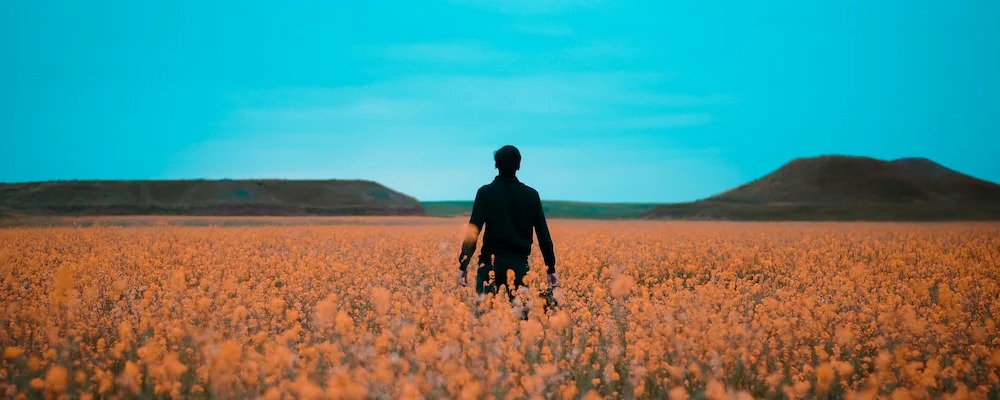 How to Write a Short Film Script: A Beginner’s Guide